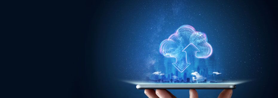 Outsource Application Modernization Services - FWS