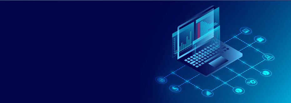 Outsource Application Portfolio Management Services - FWS