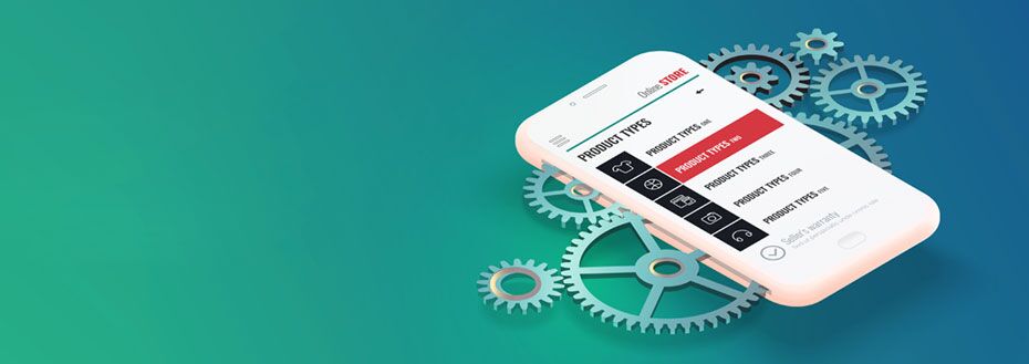 Outsource Application Re-engineering Services - FWS