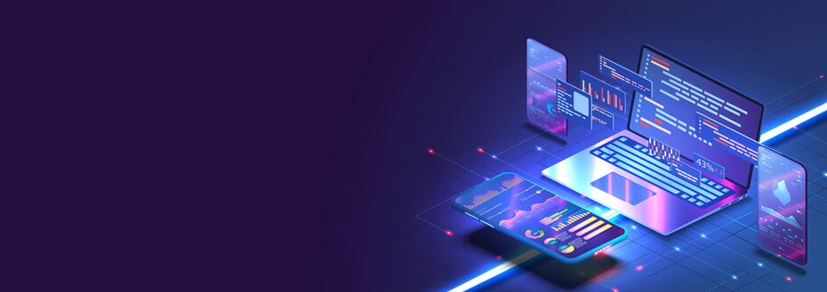 Outsource Bespoke Software Development Services - FWS