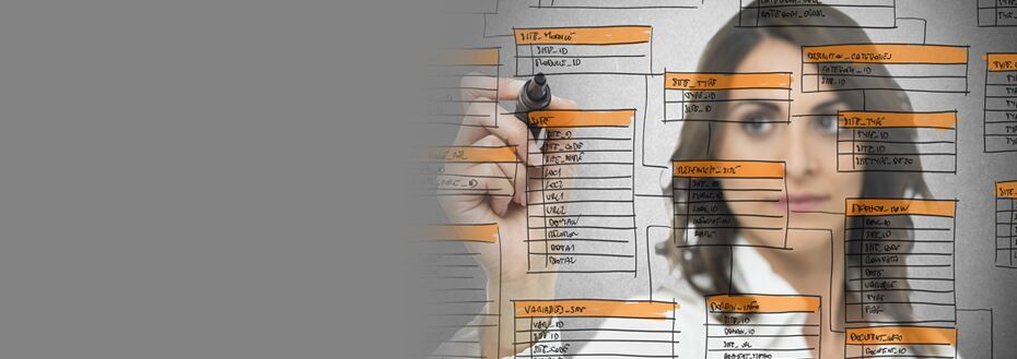 Outsource Database Development Services - Flatworld Solutions