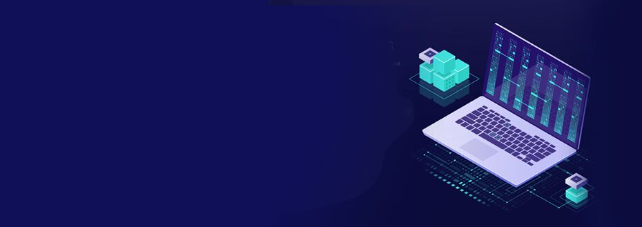 Outsource External Network Penetration Testing Services - FWS