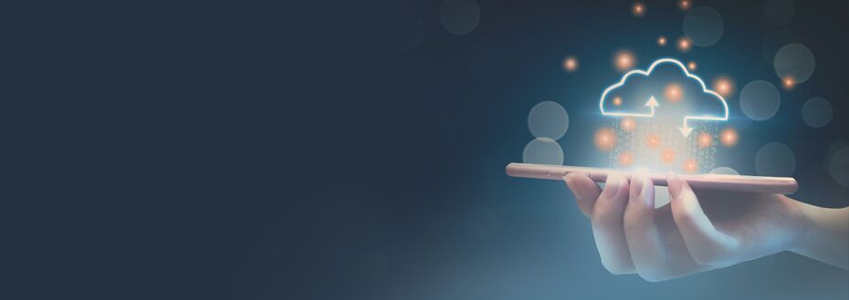 Outsource SAP Application Development Services - FWS