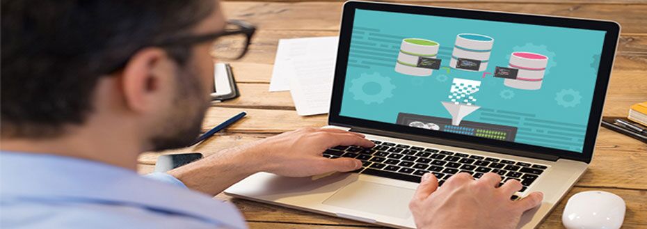 Case Study | Data Extraction and Abstraction Solution - FWS