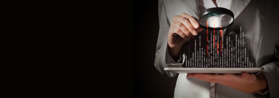 Outsource Data Virtualization Services - Flatworld Solutions