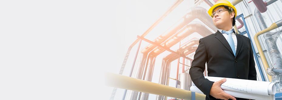 Outsource Plant Design Management System (PDMS) Services - FWS