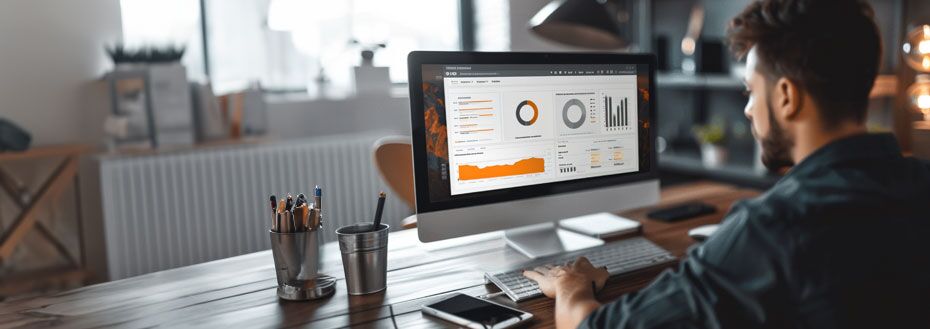 Outsource Custom Dashboard Creation Services - FWS